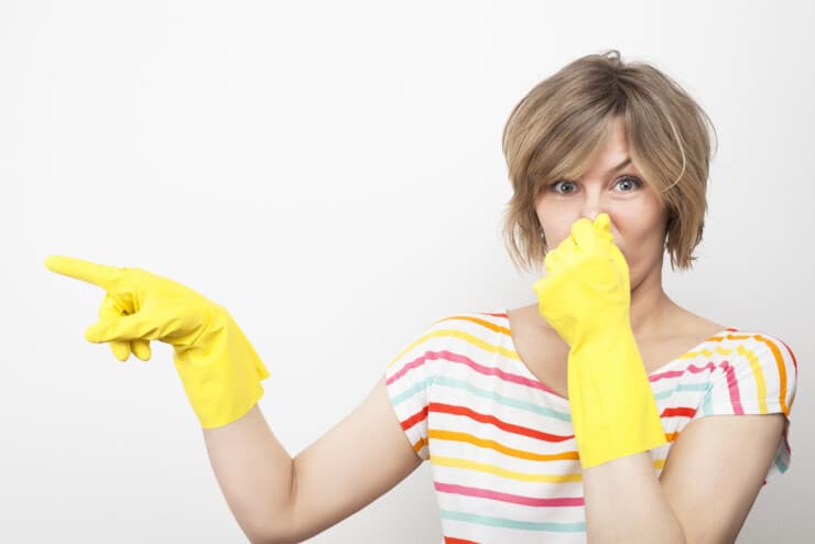 Why Is There A Strange Rotten Vegetables Smell In My House? • Vowness