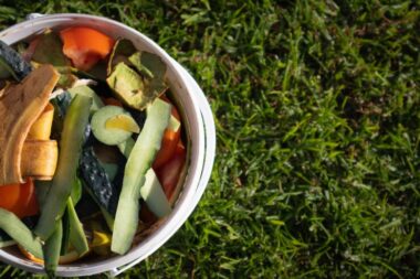 Why Is There A Strange Rotten Vegetables Smell In My House? • Vowness