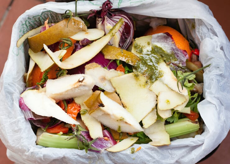Why Is There A Strange Rotten Vegetables Smell In My House? • Vowness